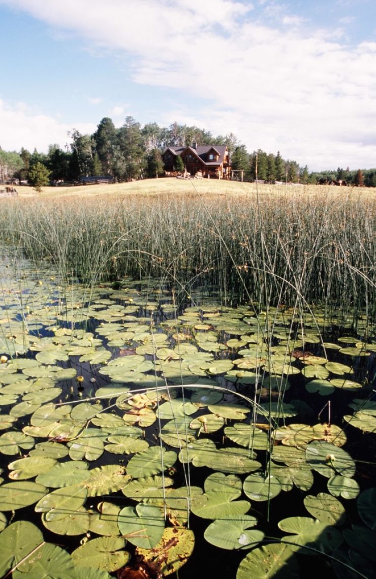 Luxury Wilderness Lodge & Ranch | Siwash Lake Wilderness Resort
